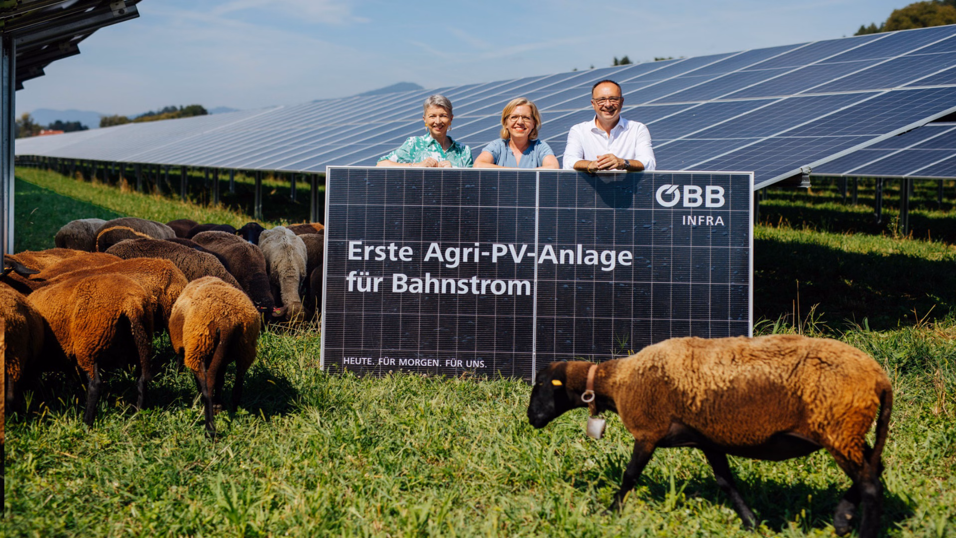 ÖBB bauen Österreichs erste Agri-Photovoltaikanlage für grünen ...